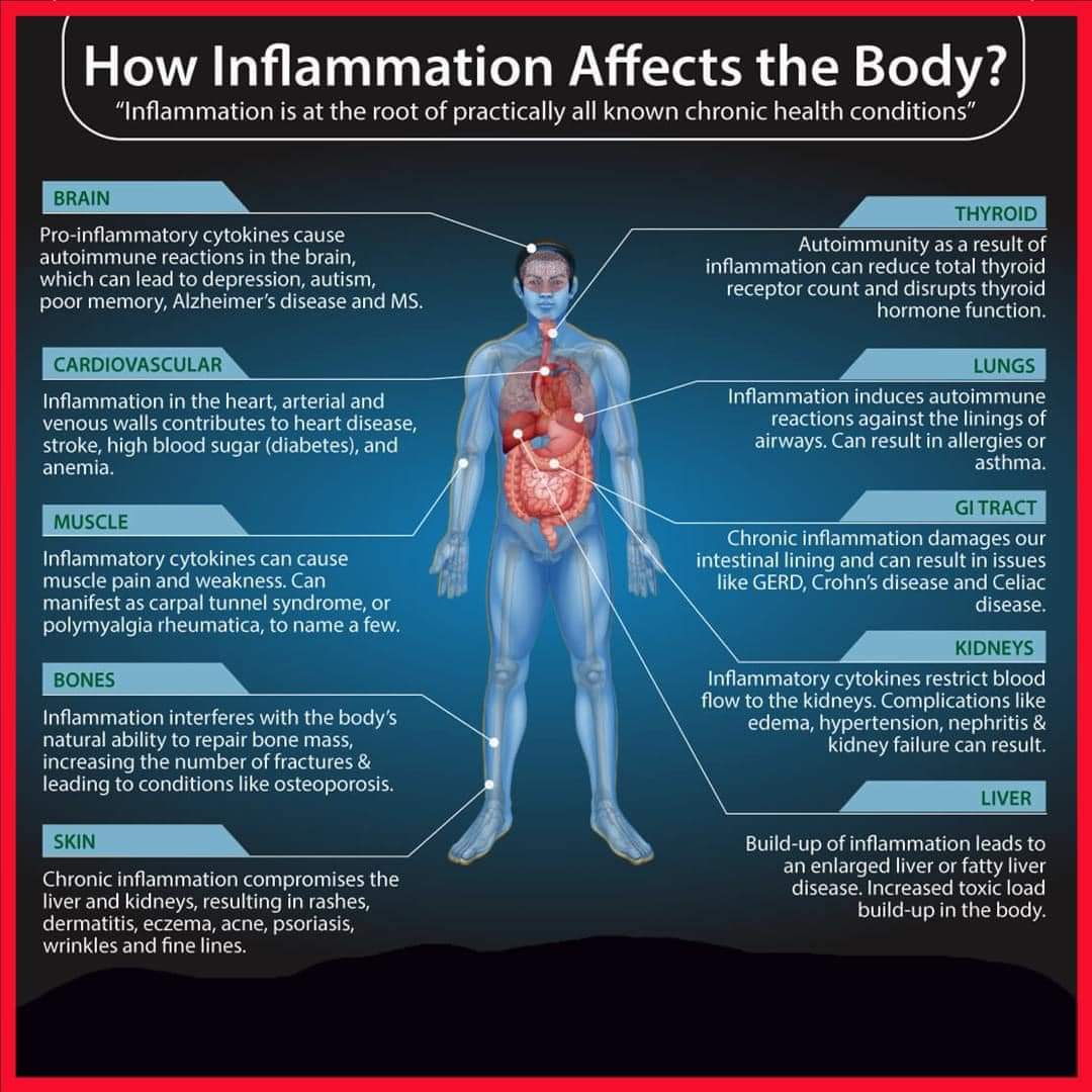 Inflammation in the body – Mindunique